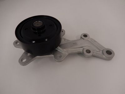 WATER PUMP – Broomfish